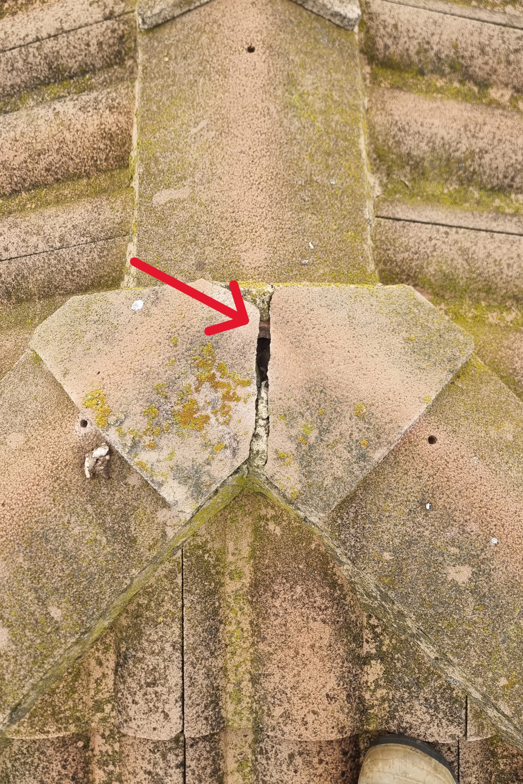 Roof Cladding - Major Defect Checklist | Aus Property Report